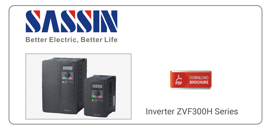 Sassin Inverters